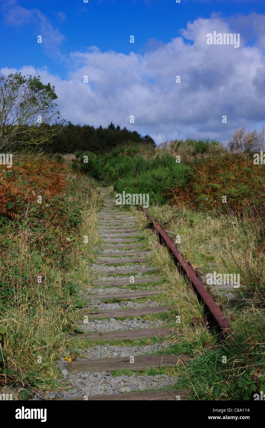 Overgrown railway track hi-res stock photography and images - Alamy