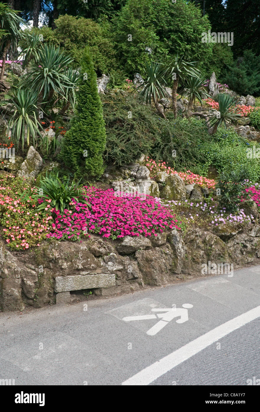 Pedestrian lane and rock garden with mixed plants on the roadside Stock ...