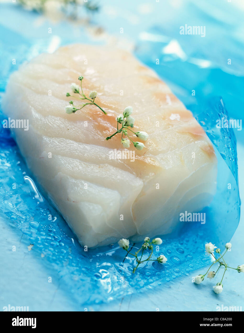 Piece of raw cod Stock Photo - Alamy