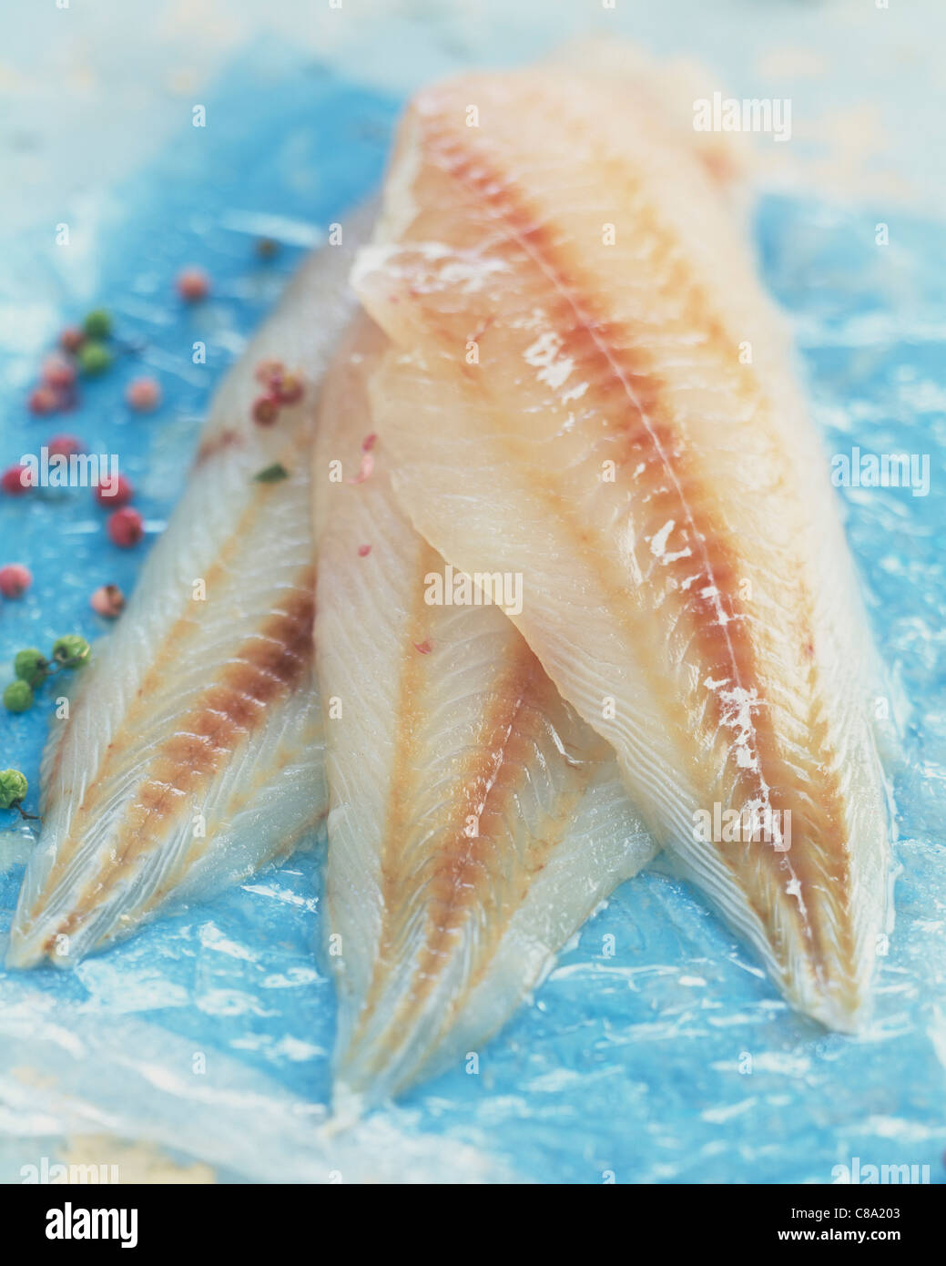 Pout fish hi-res stock photography and images - Alamy