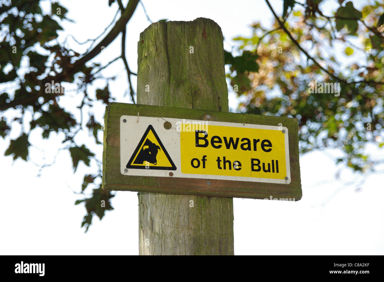 Beware of the bull warning sign Stock Photo - Alamy