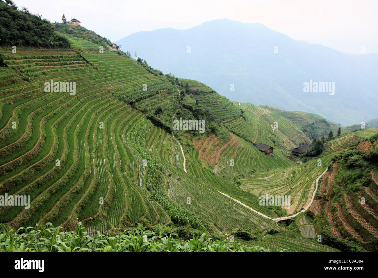 Pingan terraces hi-res stock photography and images - Alamy