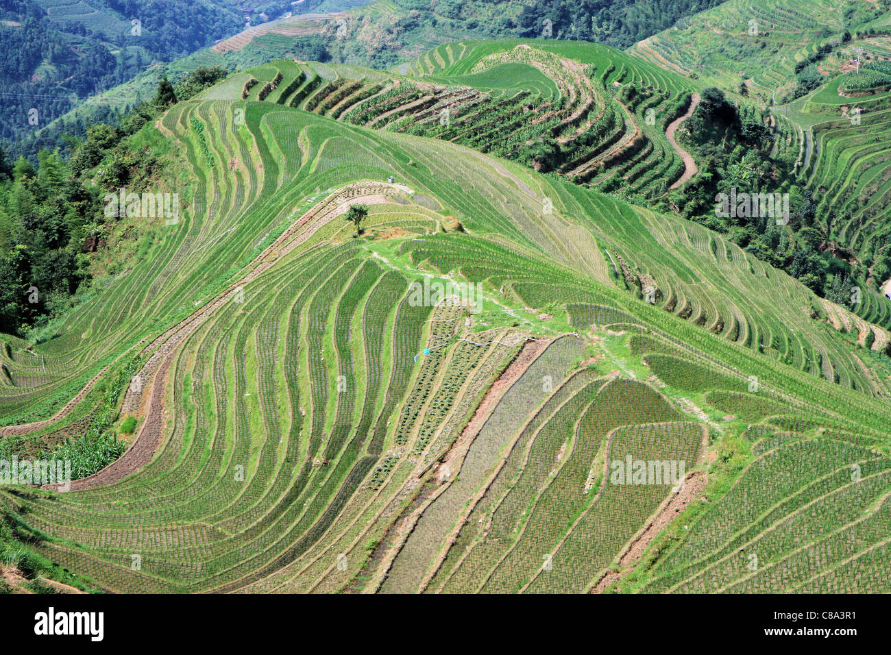 Pingan terraces hi-res stock photography and images - Alamy