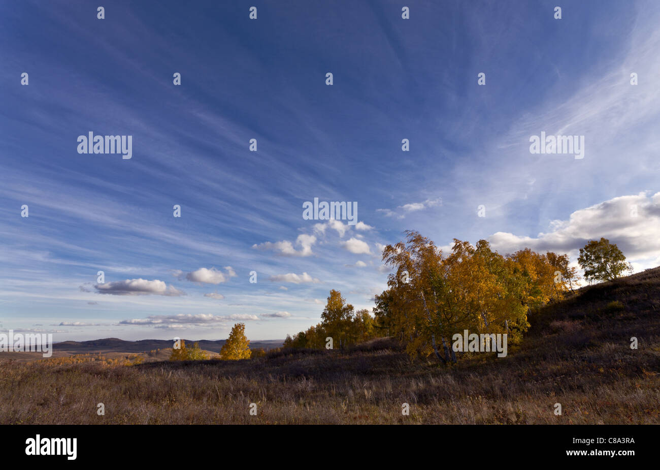 Trees clouds fall autumn hi-res stock photography and images - Alamy