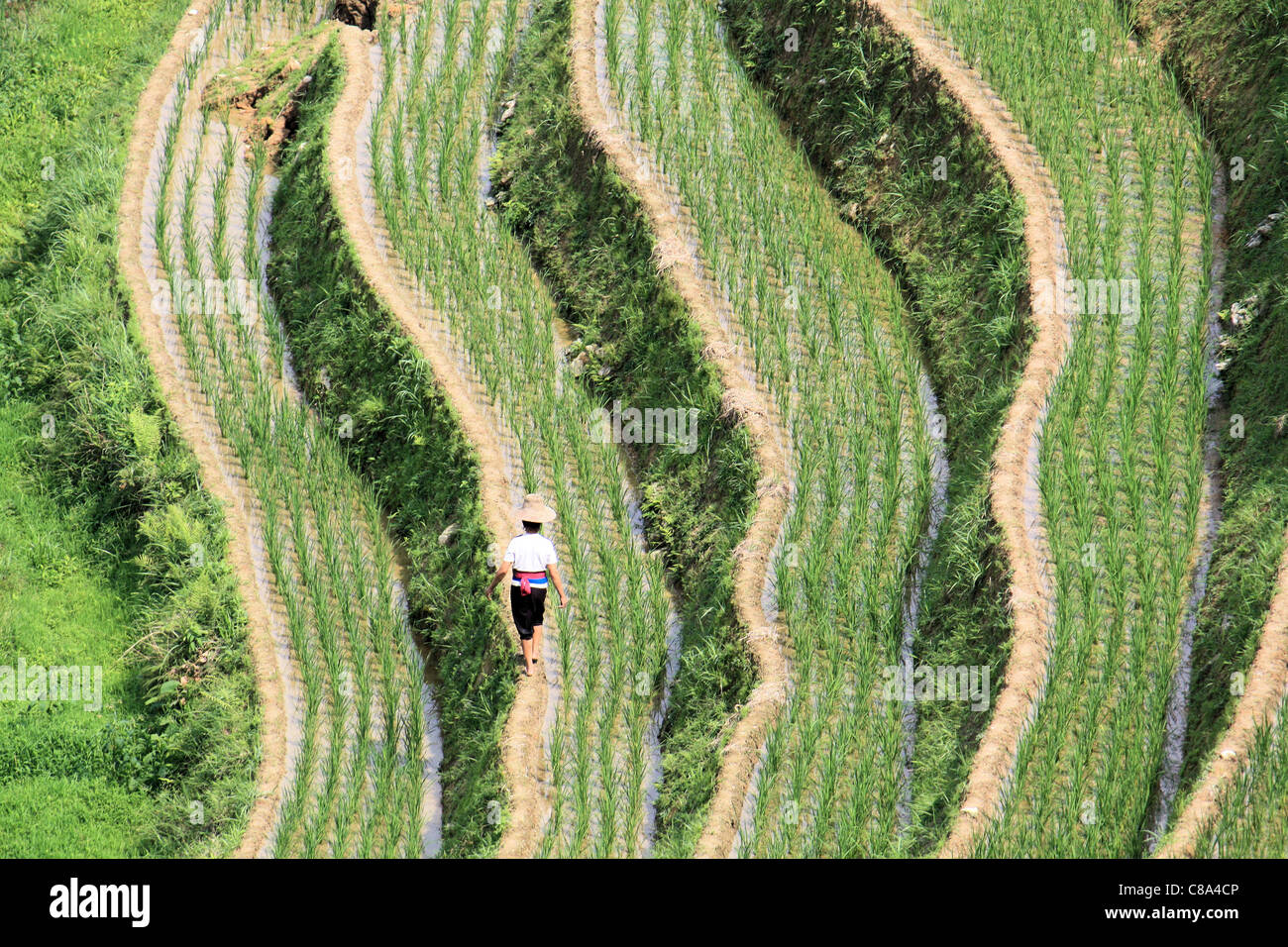 Longsheng china hi-res stock photography and images - Alamy