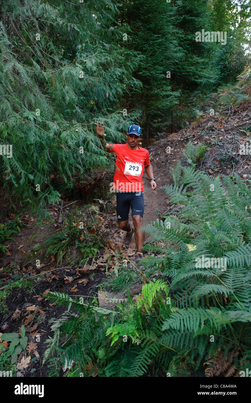 Cross country running runners race hi-res stock photography and images ...