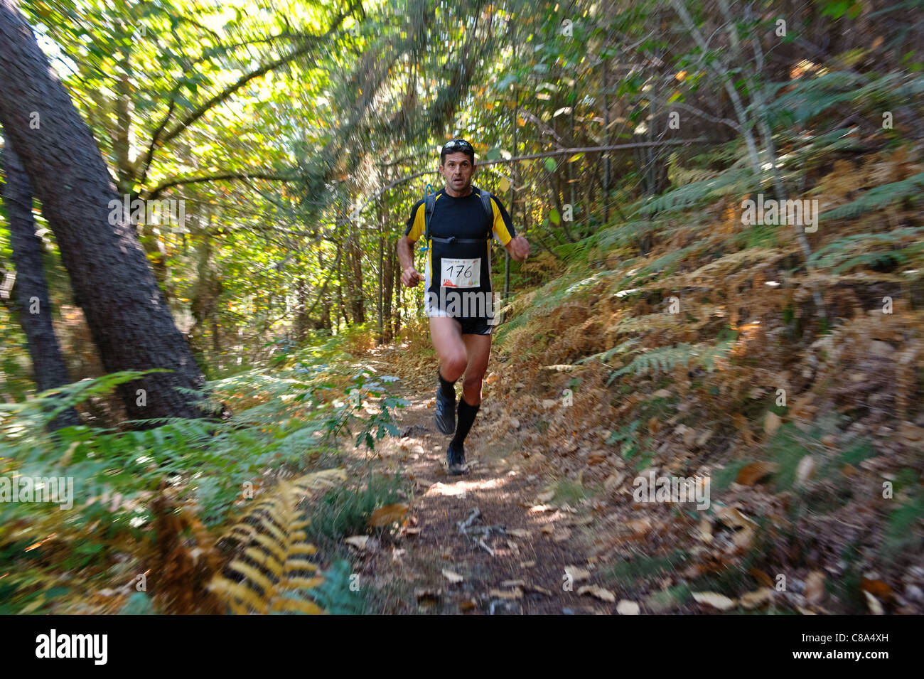 Man running downhill in cross country trail race Stock Photo - Alamy