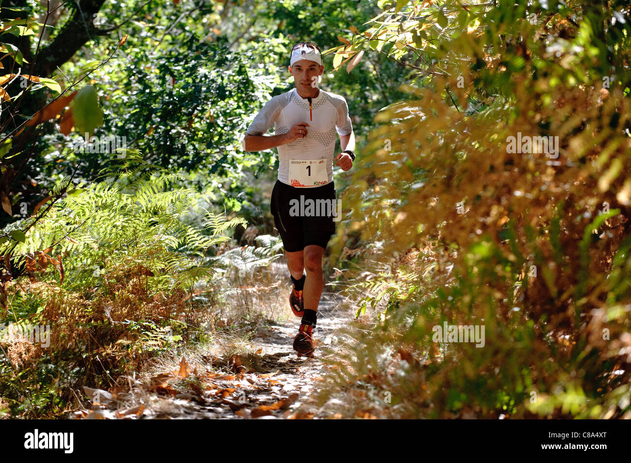 Man jogging in countryside uk hi-res stock photography and images - Alamy