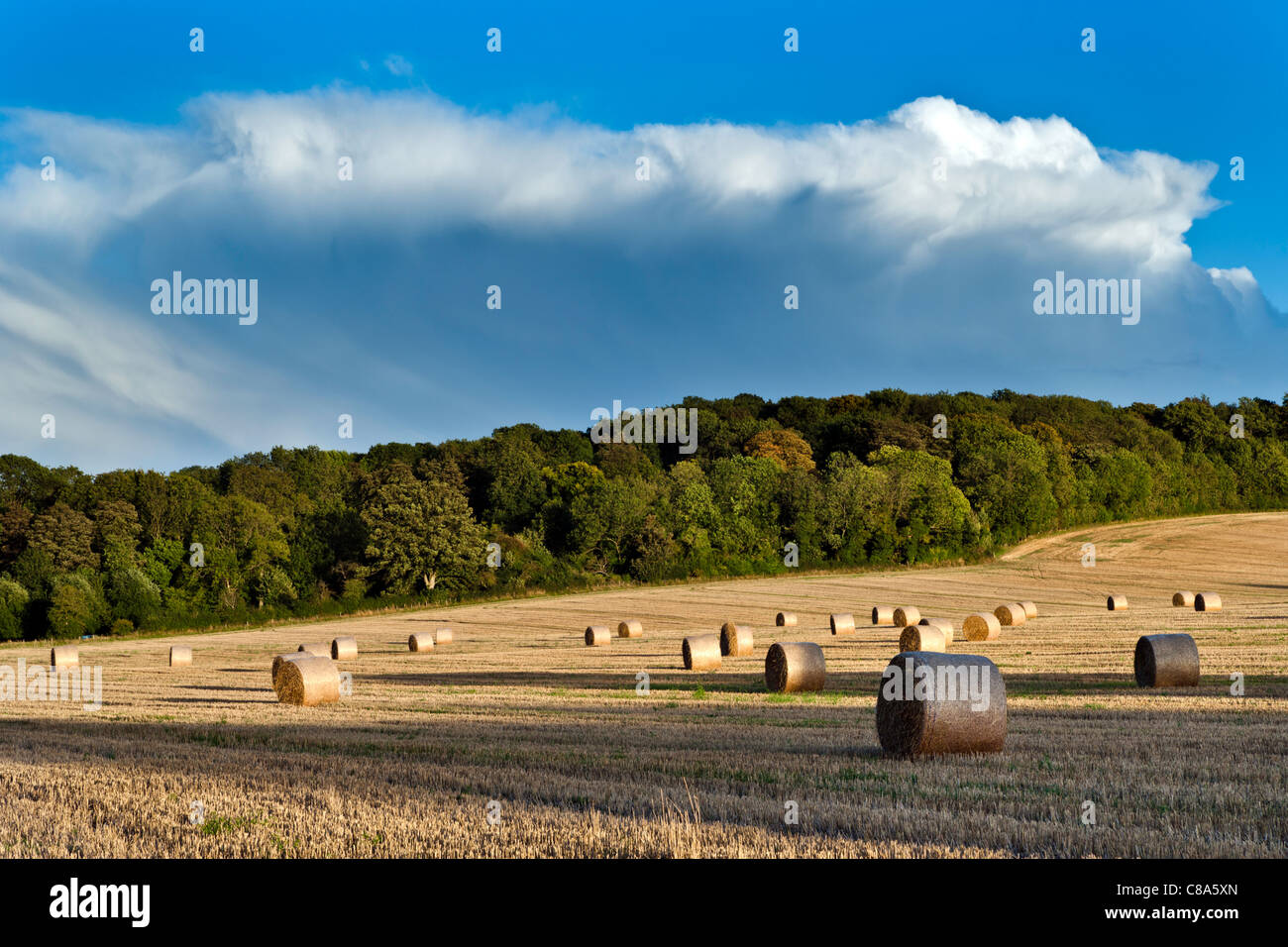 Round bails in a field hi-res stock photography and images - Alamy