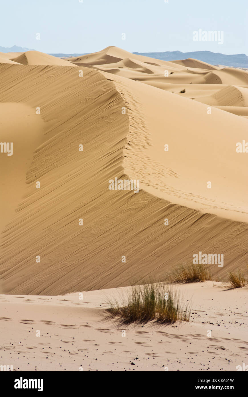 dunes of the desert Stock Photo - Alamy