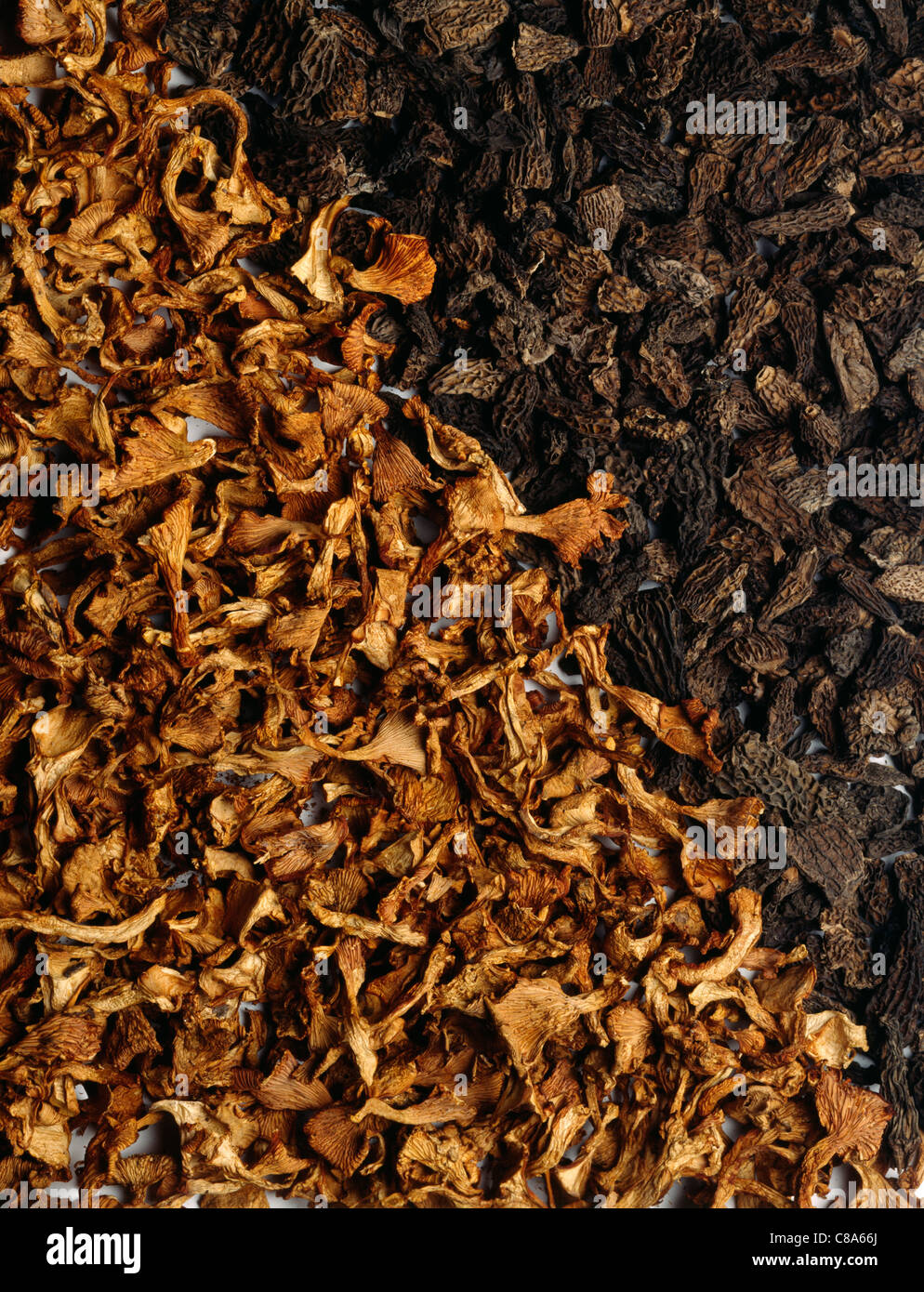 Dried morels and chanterelles Stock Photo - Alamy