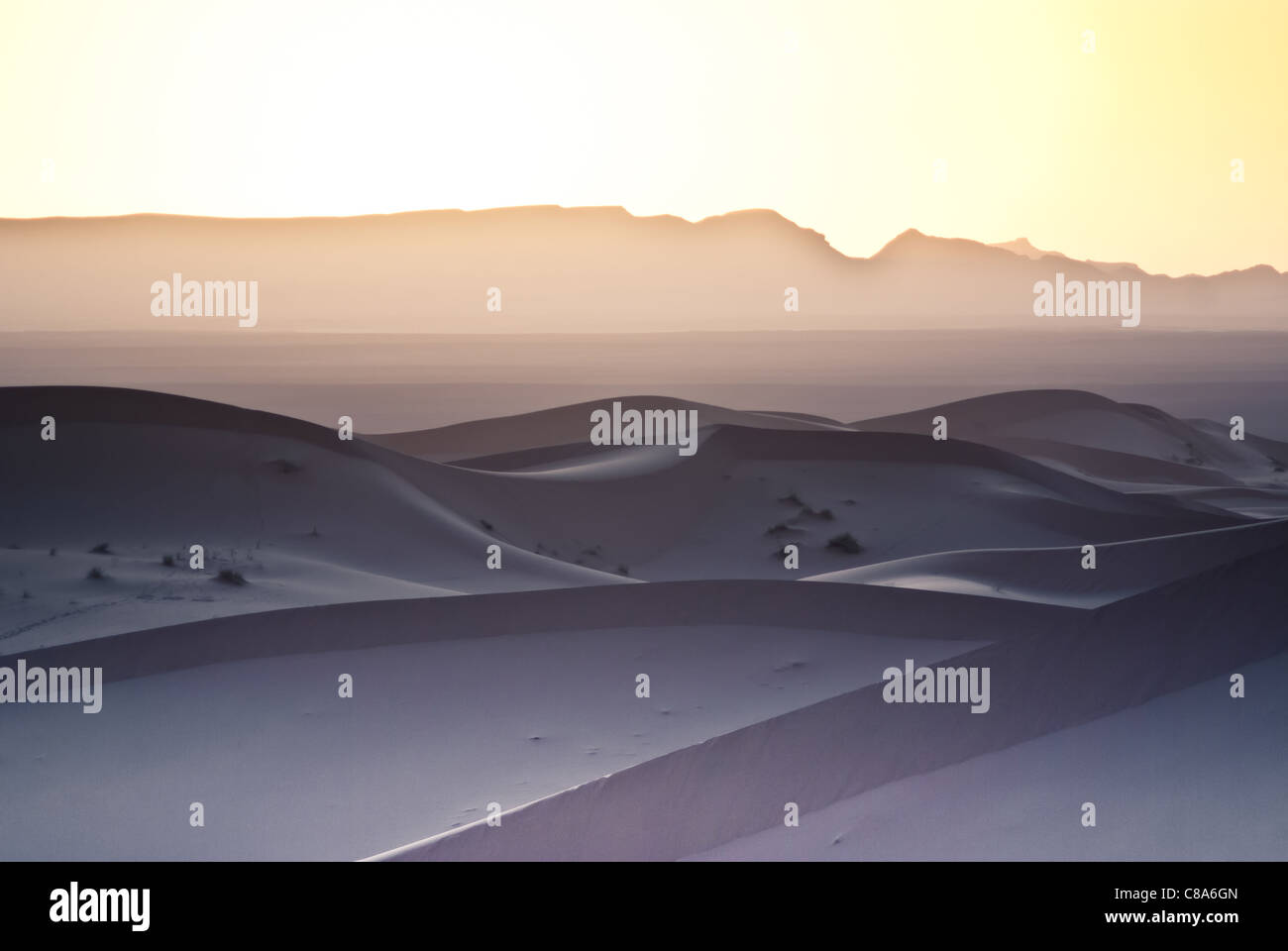 sunrise on Sahara desert Stock Photo - Alamy