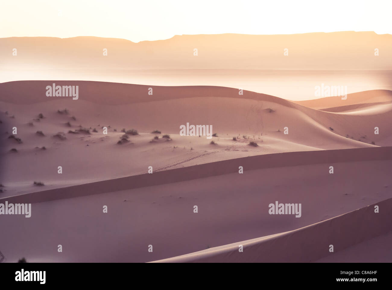 sunrise on Sahara desert Stock Photo - Alamy