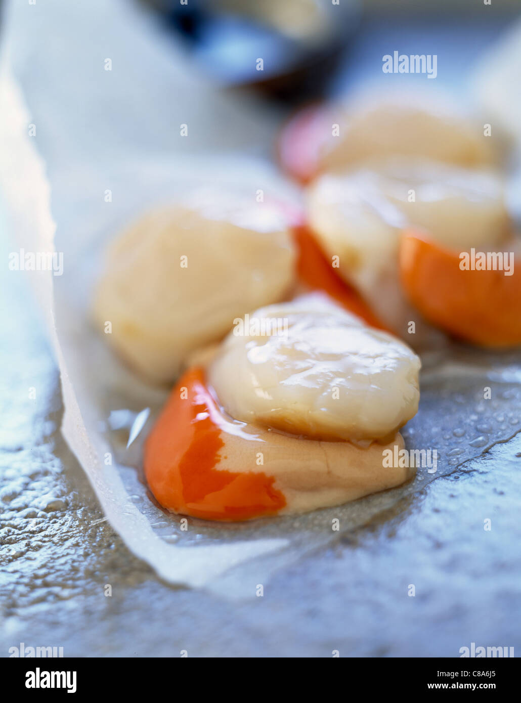 Pétoncle hi-res stock photography and images - Alamy