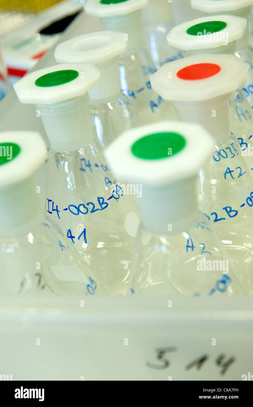 National laboratory Berlin-Brandenburg, Germany Stock Photo - Alamy