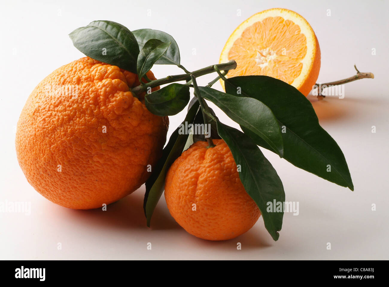 Naval oranges hi-res stock photography and images - Alamy