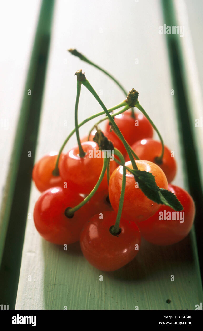 Montmorency cherry hi-res stock photography and images - Alamy