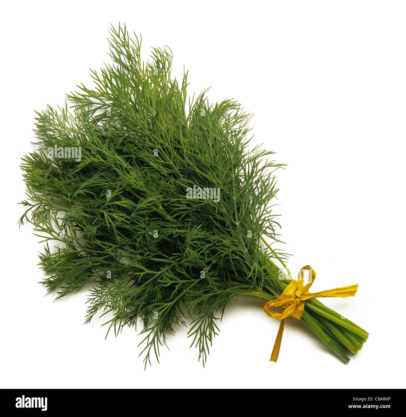 Bunch of fresh dill Stock Photo - Alamy