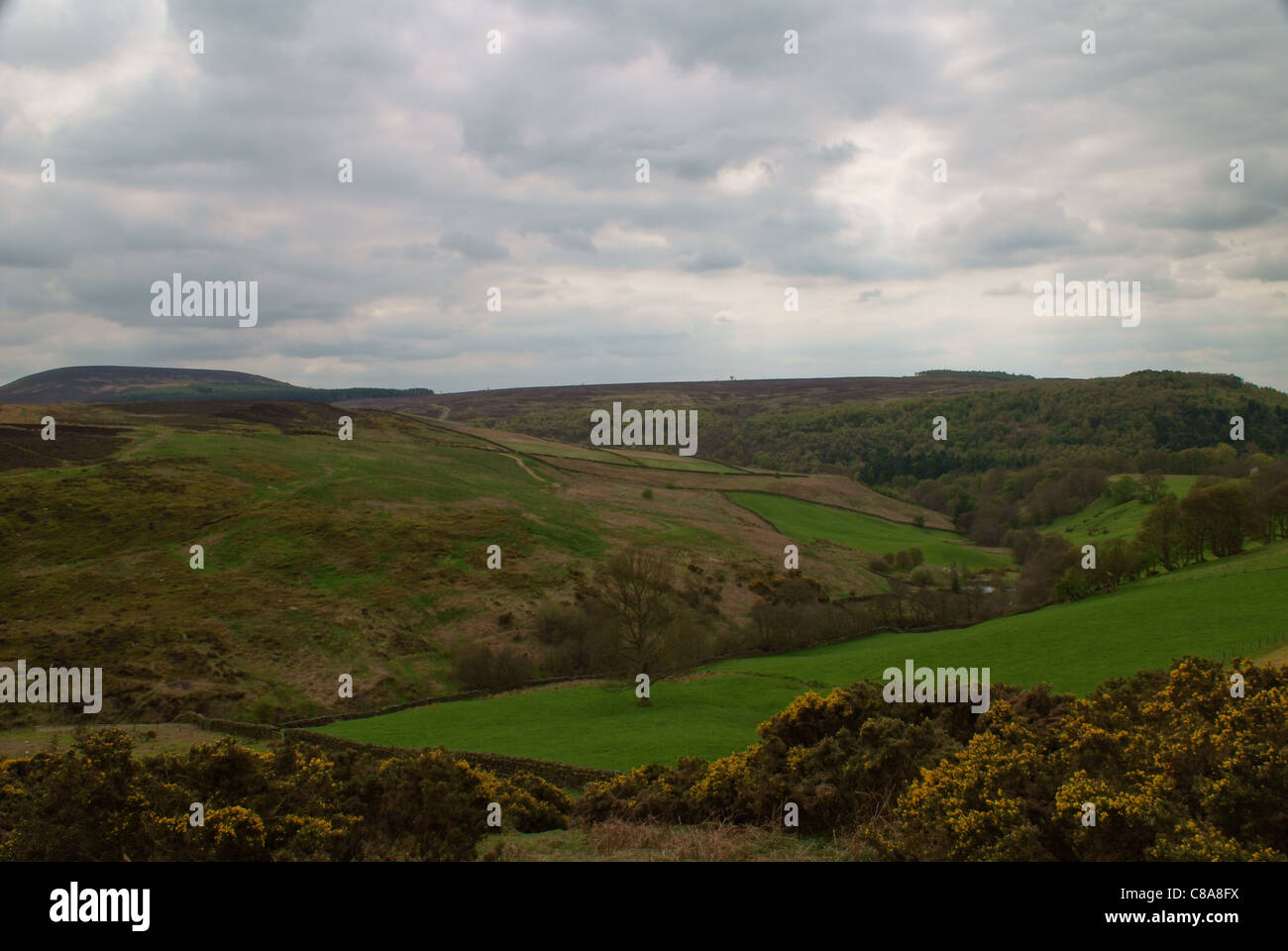The Yorkshire Moors Stock Photo - Alamy