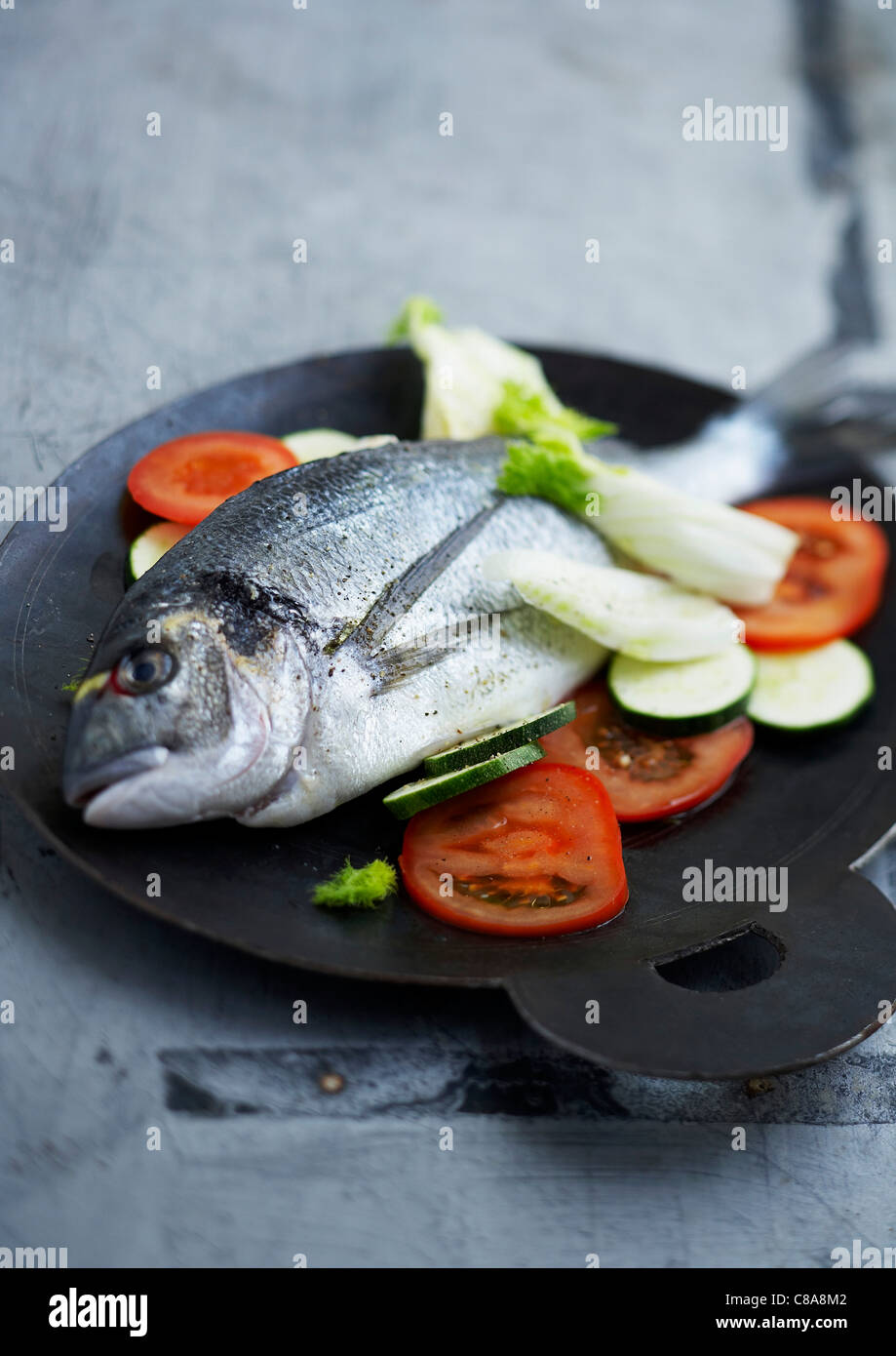 Grey bream hi-res stock photography and images - Alamy