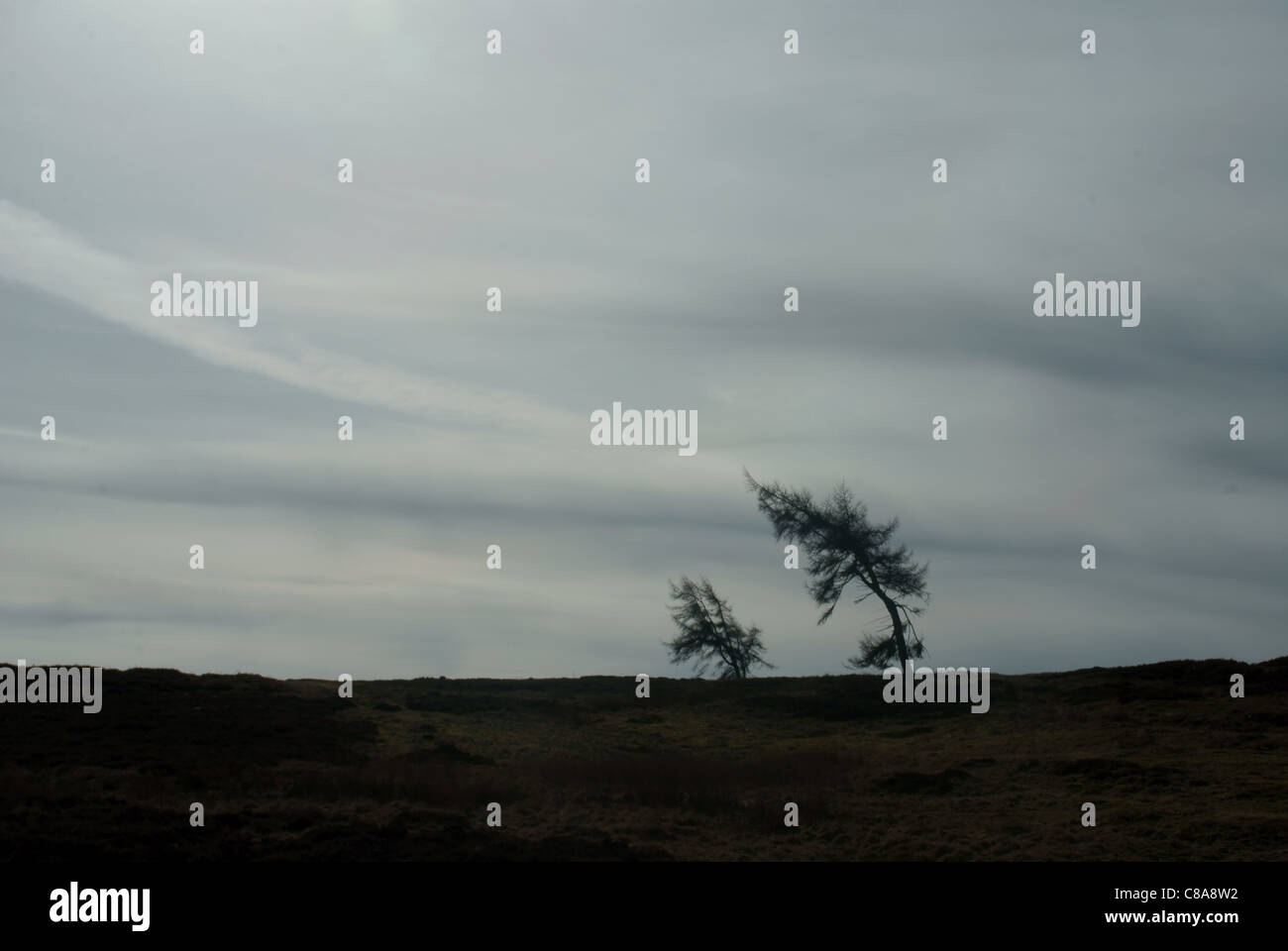 Yorkshire Moors landscape Stock Photo - Alamy