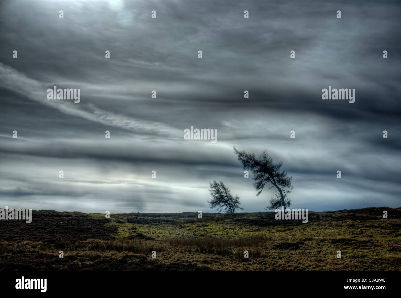 Yorkshire Moors landscape Stock Photo - Alamy