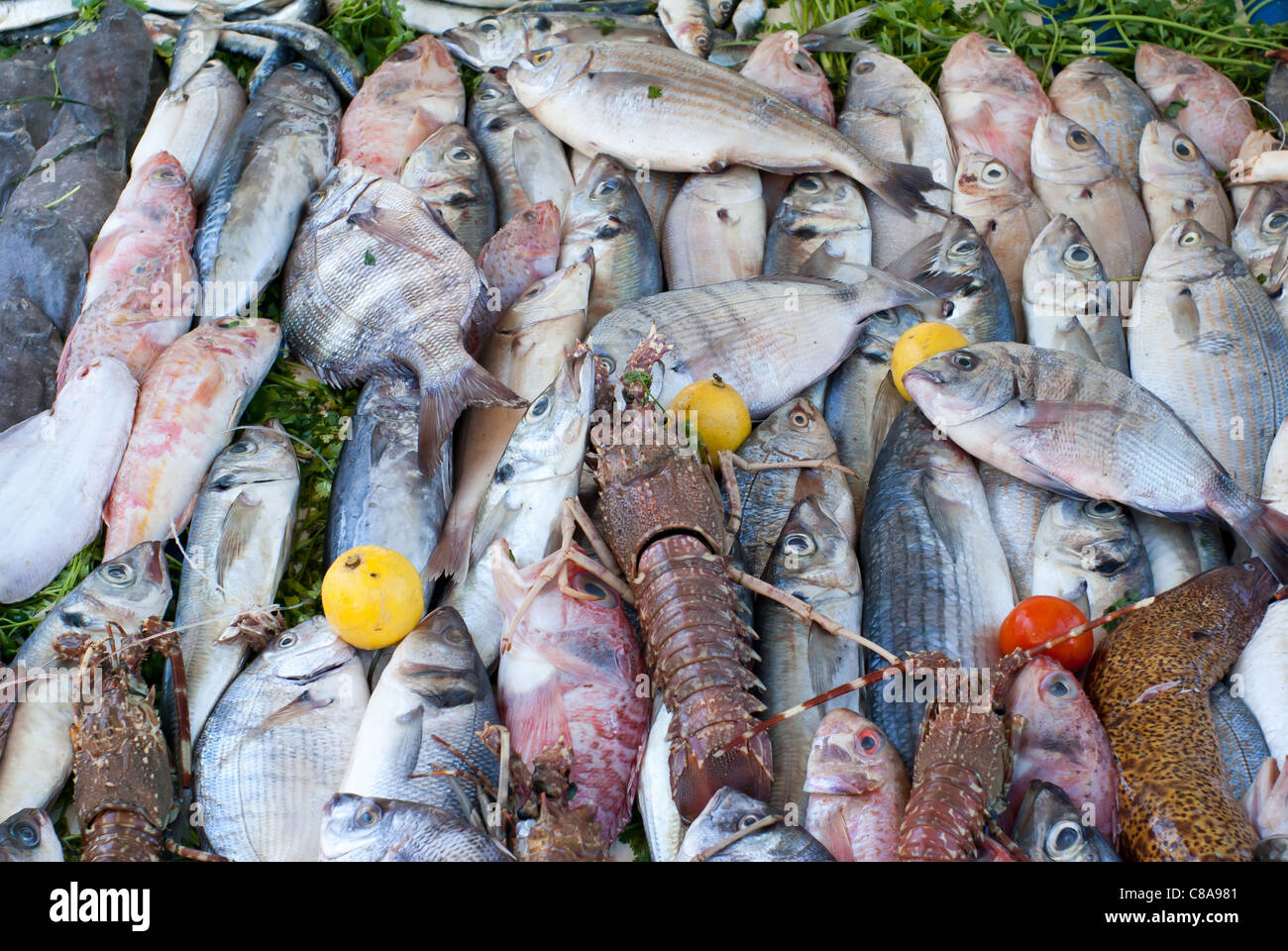 seafood and fishes Stock Photo - Alamy