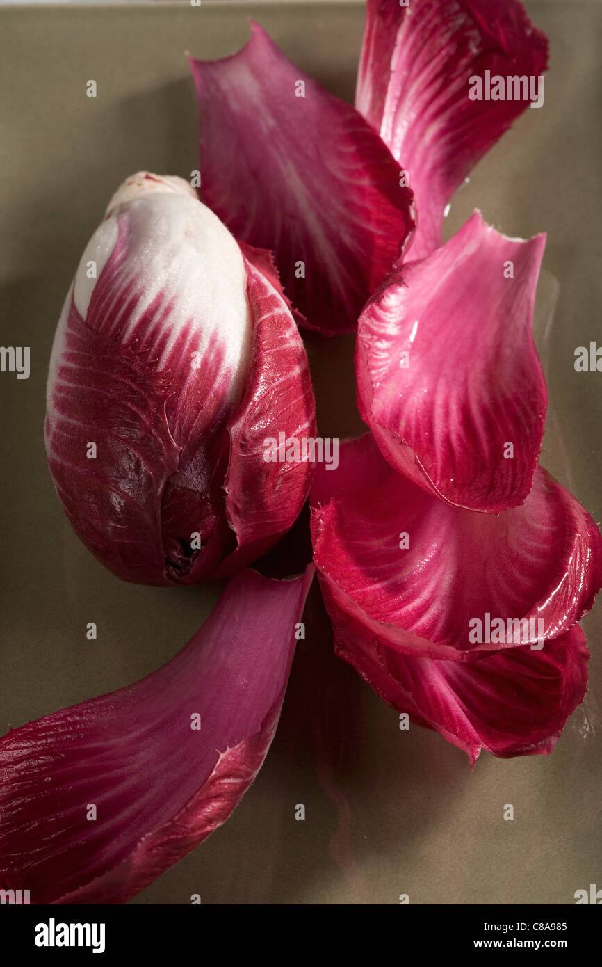 Of chicory hi-res stock photography and images - Alamy
