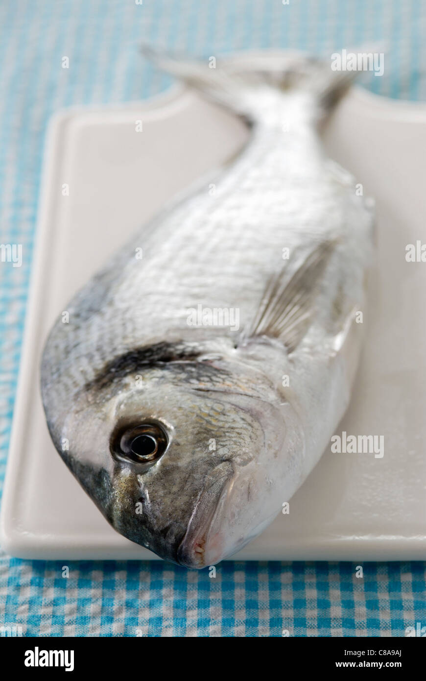 Raw sea bream Stock Photo - Alamy