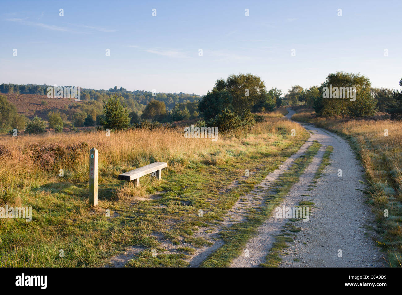 Chobham national nature reserve hi-res stock photography and images - Alamy