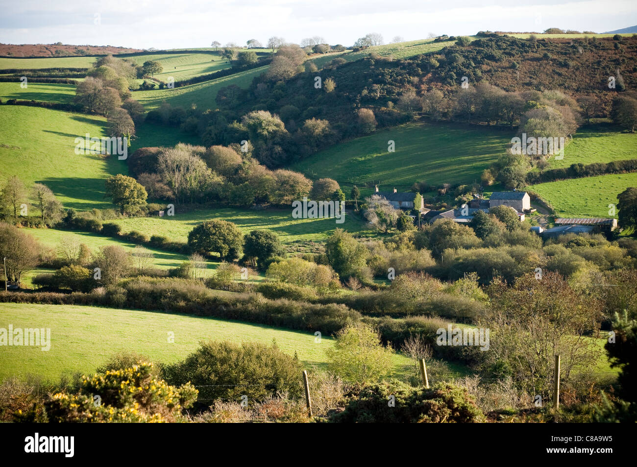 Rolling devon fields near Moretonhampstead on the slopes of Dartmoor ...