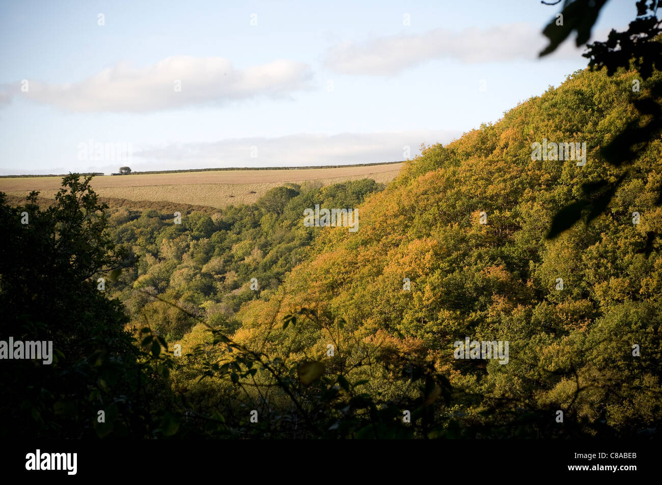 Rolling devon fields in the Teign valley near Moretonhampstead on the ...