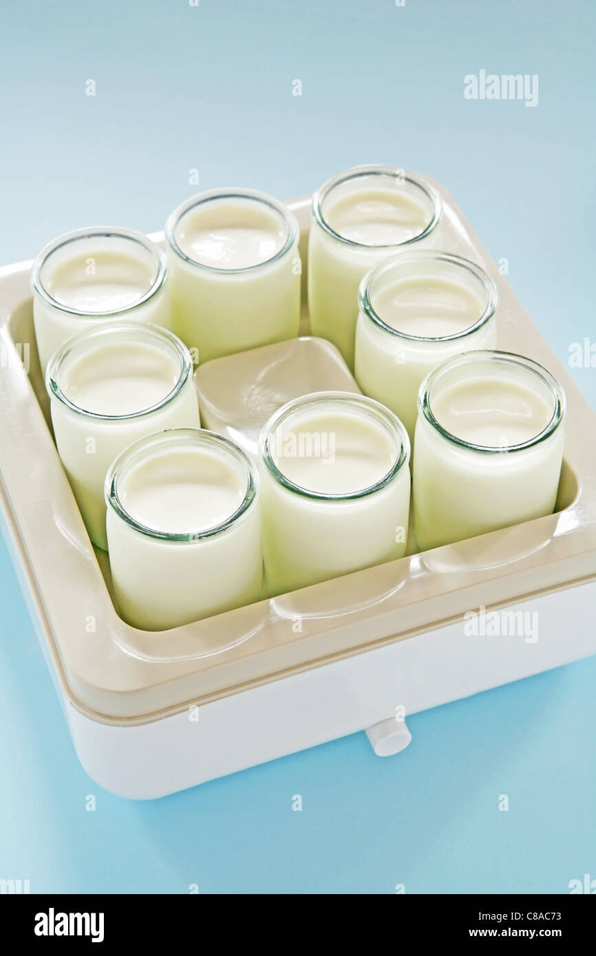 Yoghurts in a yoghurt machine Stock Photo - Alamy