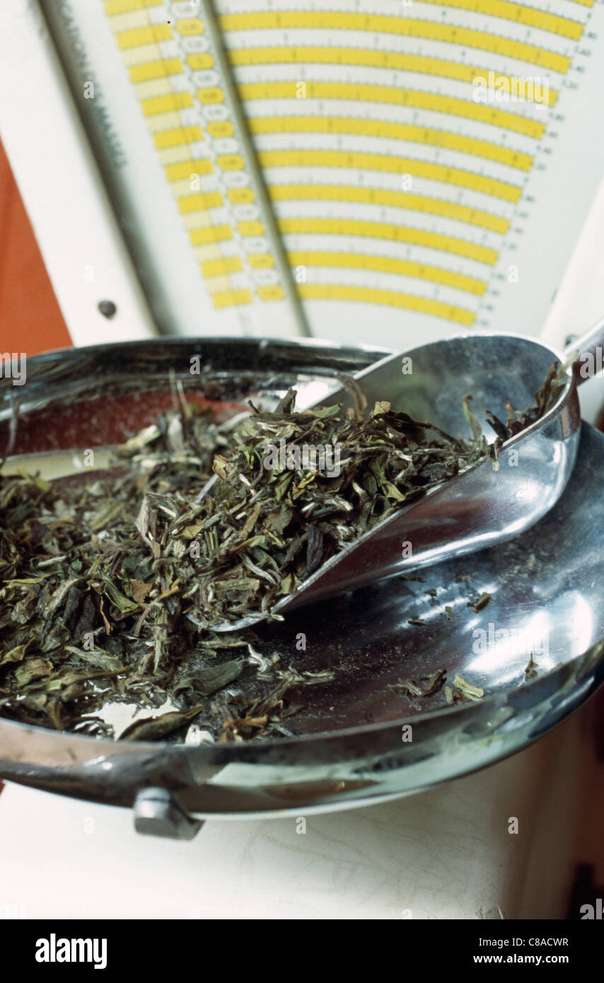 Tea weighing scales hi-res stock photography and images - Alamy