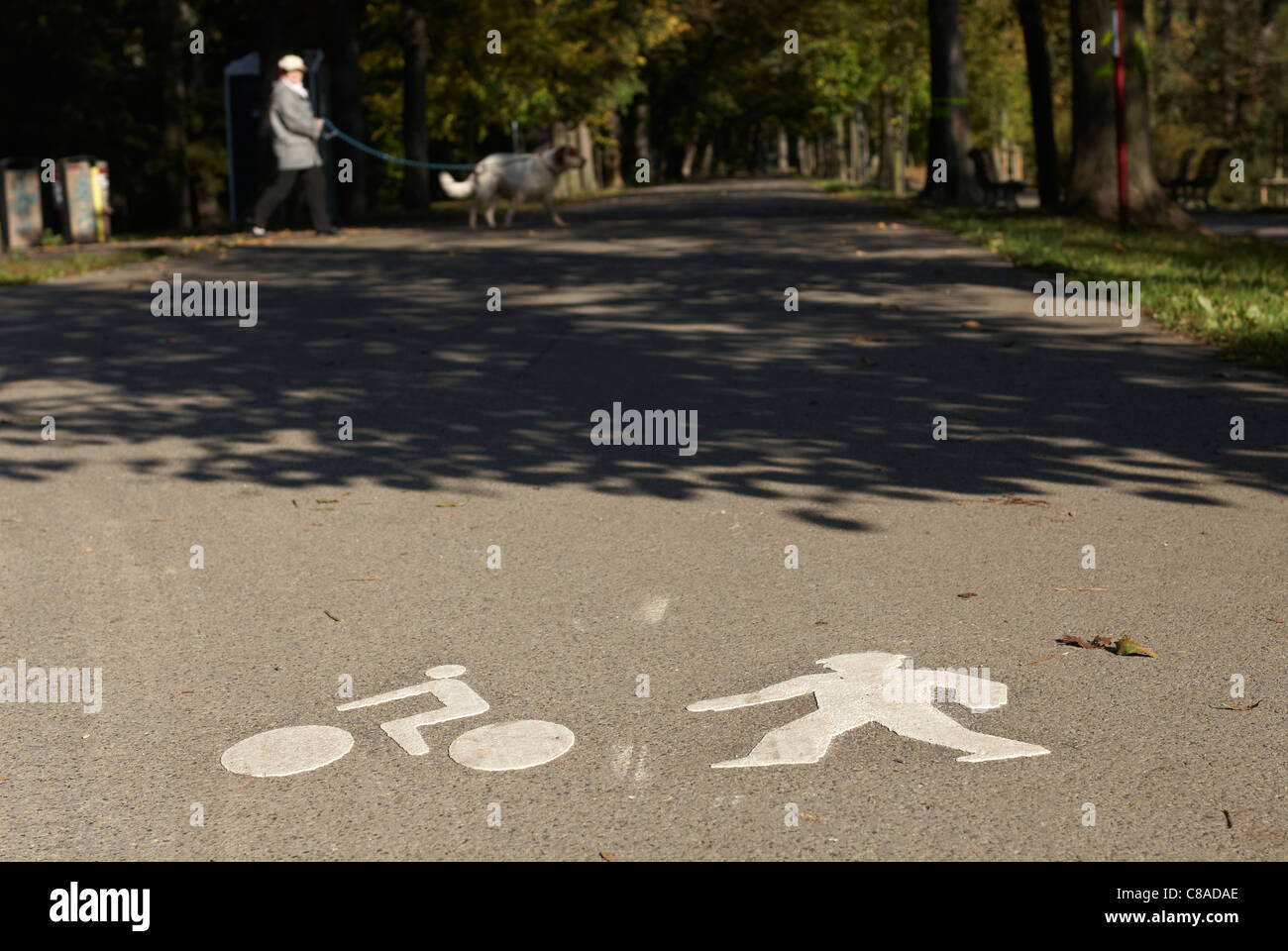 Cycle Cycling allowed route sign in park Stock Photo - Alamy