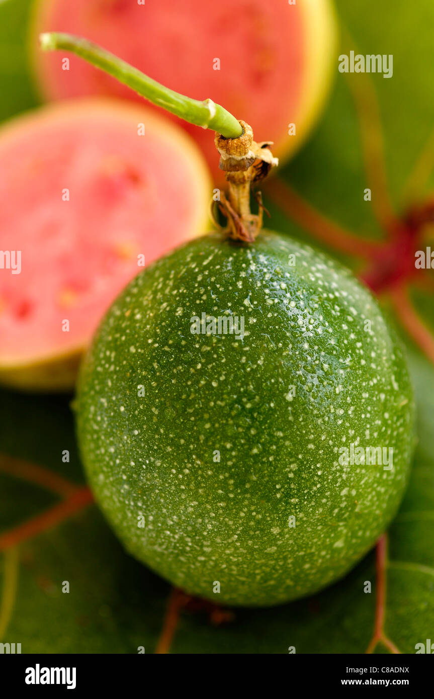Half guava hi-res stock photography and images - Alamy