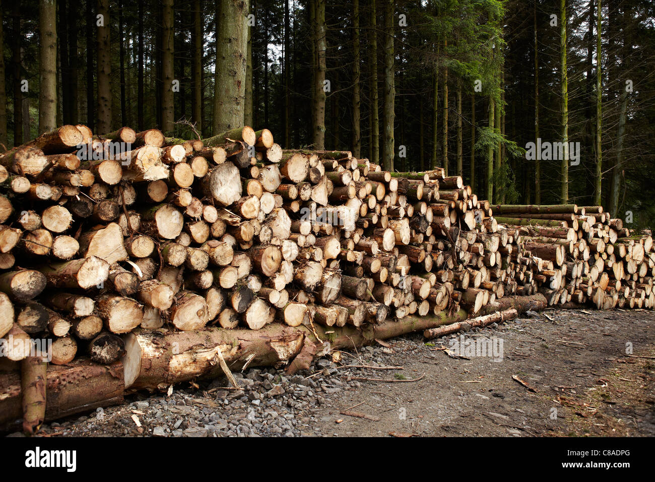 Afan argoed hi-res stock photography and images - Alamy