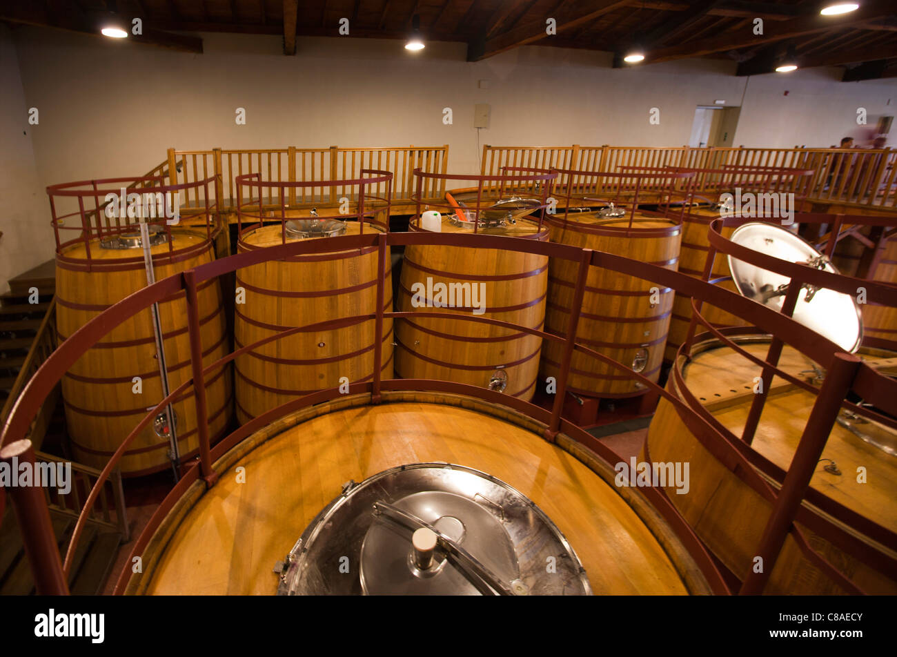 Oak fermentation barriques of red wine in cellars of Bodega Roda in ...