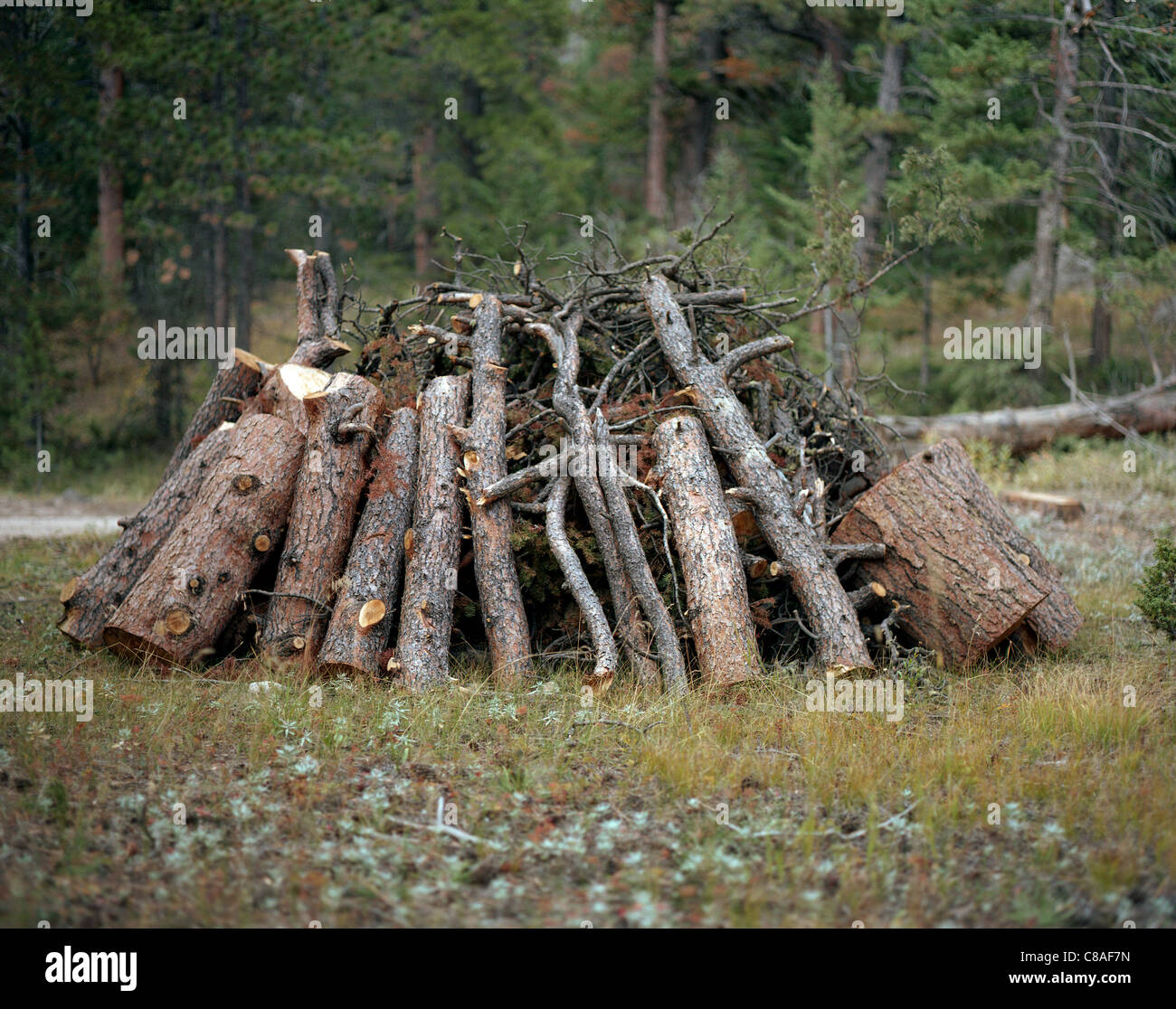 Pile wood bonfire hi-res stock photography and images - Alamy