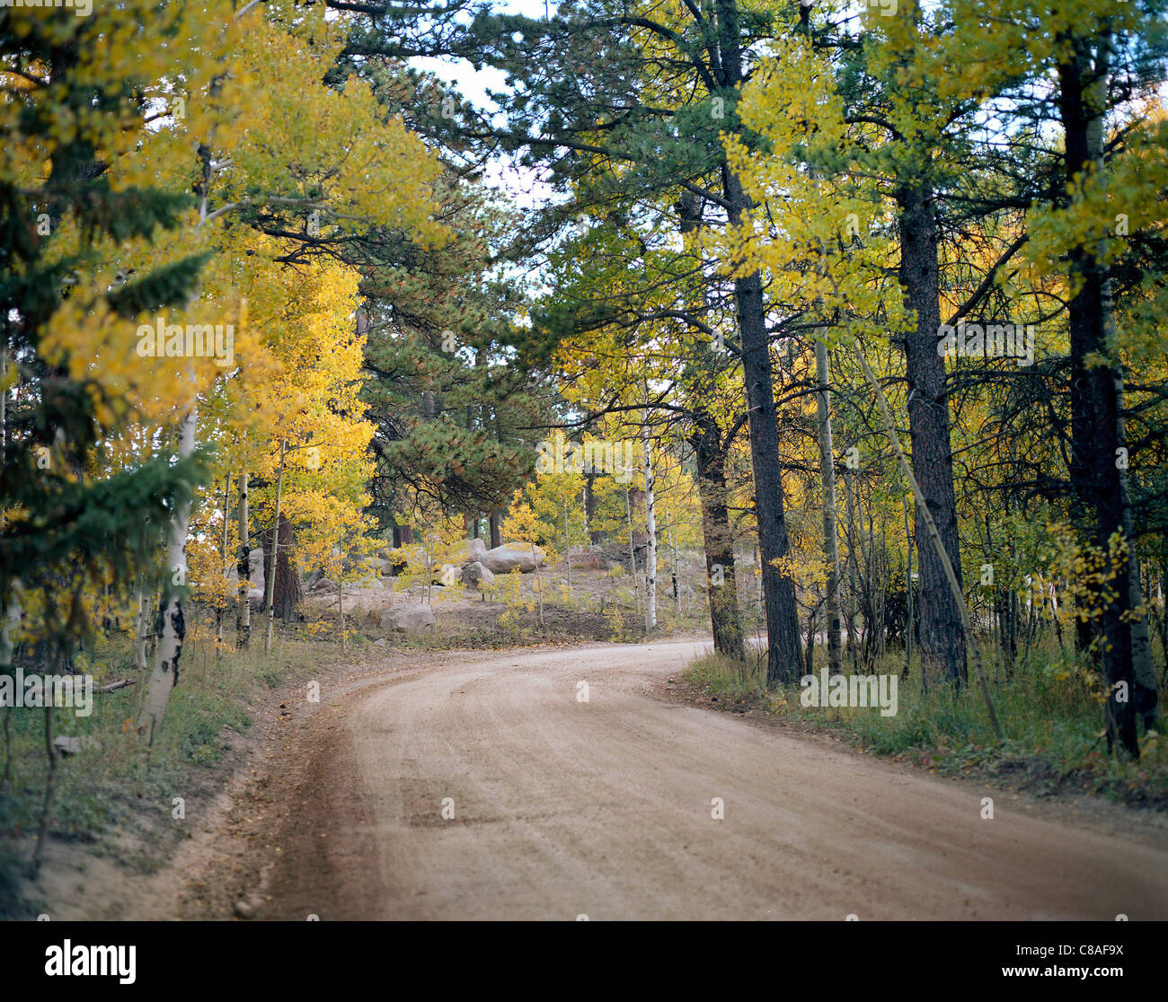 A small dirt road in Rocky Mountain National Park Stock Photo - Alamy