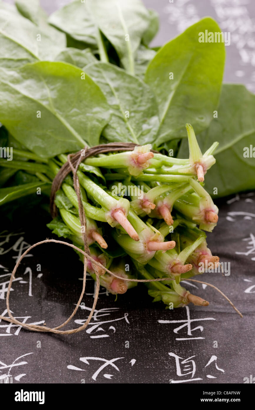 Spinach bunch hi-res stock photography and images - Alamy
