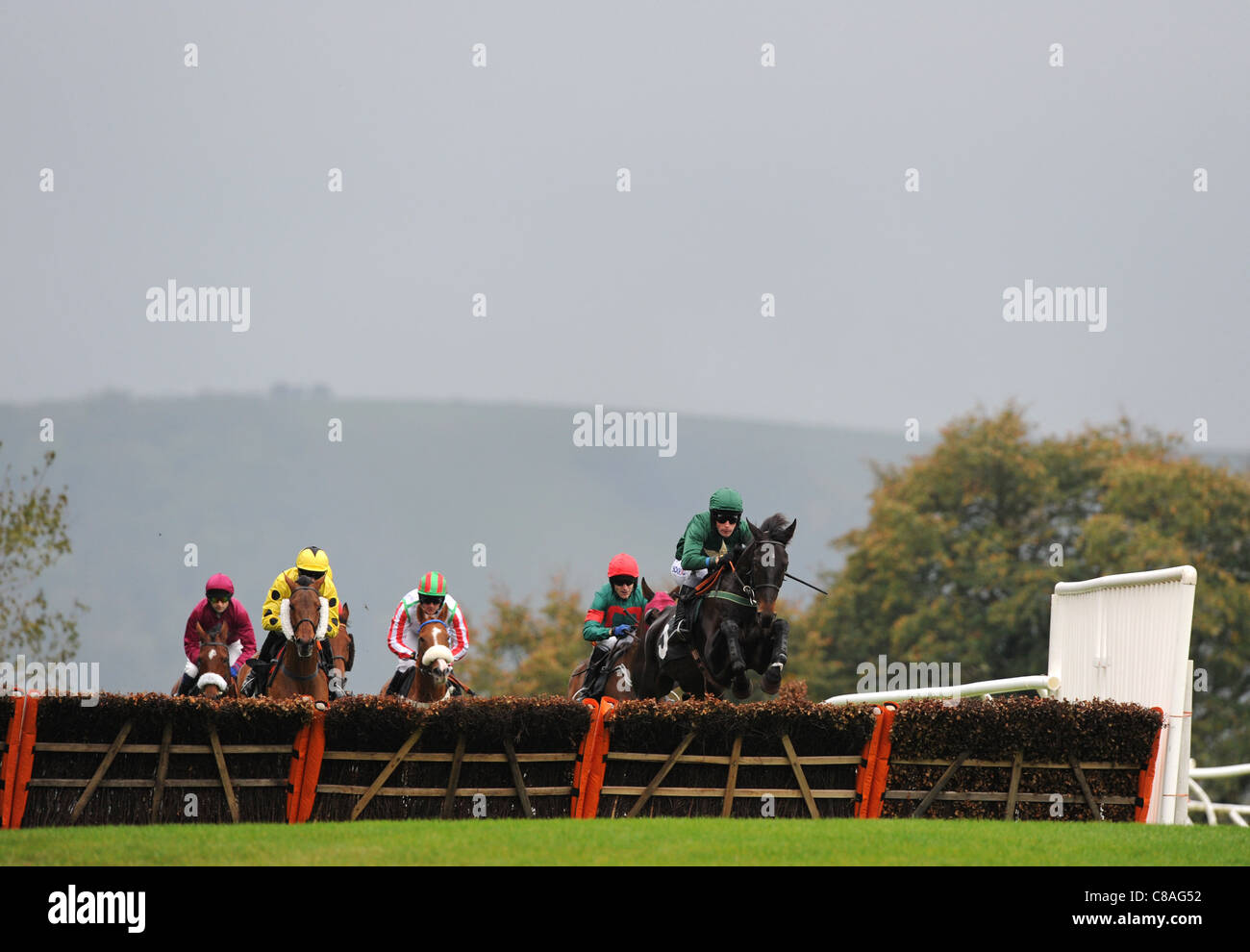 Racehorses and Jockeys in action over a jump during a Horse Race Stock ...
