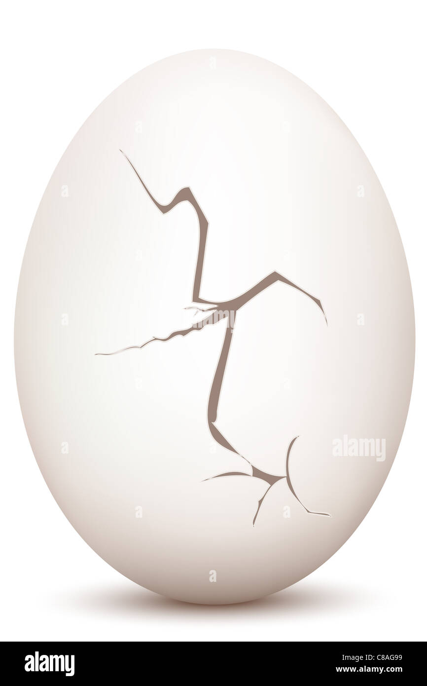 illustration of cracked egg on white background Stock Photo - Alamy