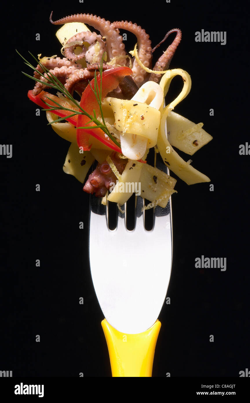 Marine Octopus High Resolution Stock Photography and Images - Alamy