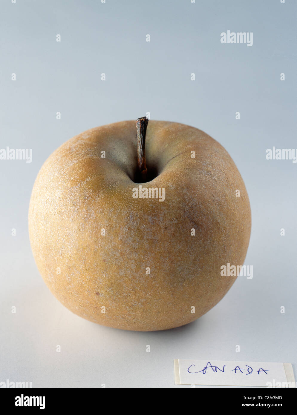 Russet Apple High Resolution Stock Photography and Images - Alamy