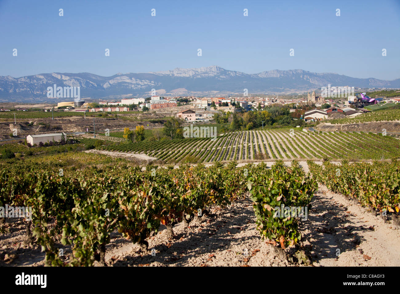 Marques de riscal vineyard hi-res stock photography and images - Alamy
