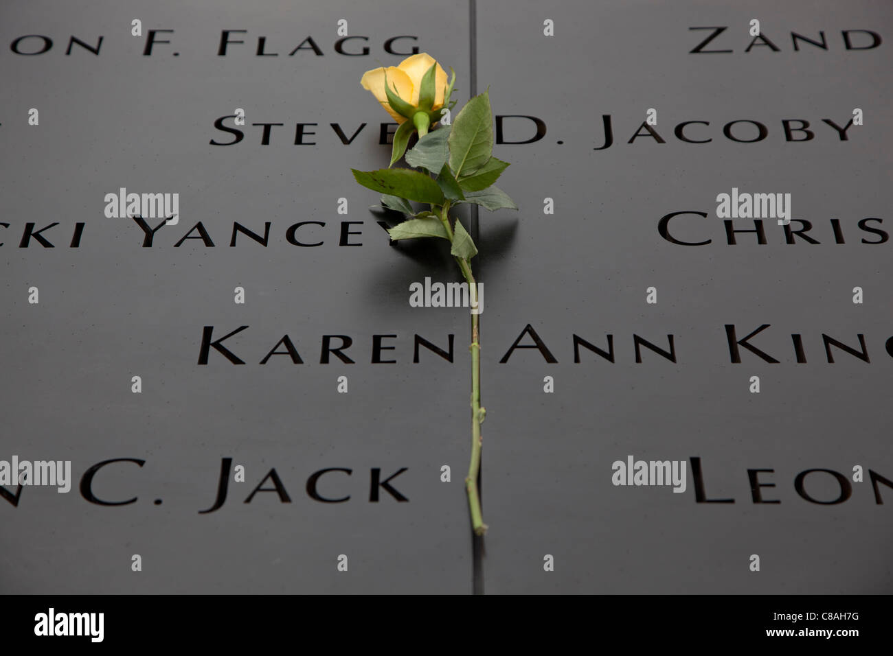 The names of every person who died in the terrorist attacks of February ...