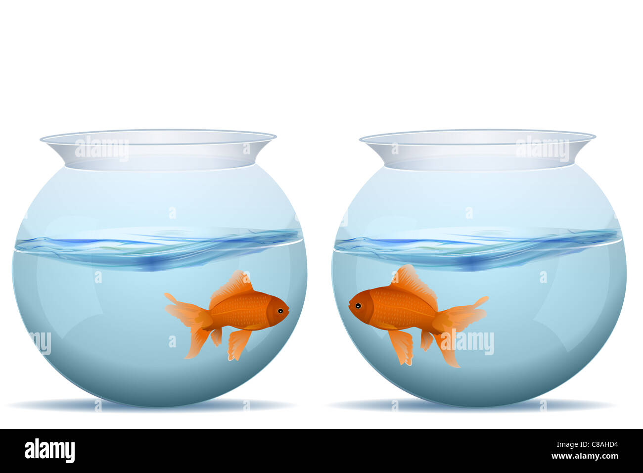 illustration of fish in tank Stock Photo - Alamy