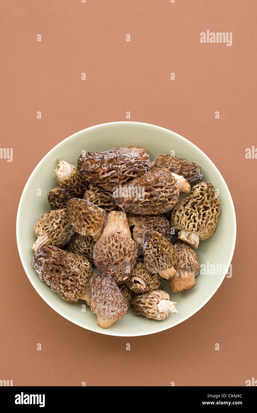 Morel cut out hi-res stock photography and images - Alamy