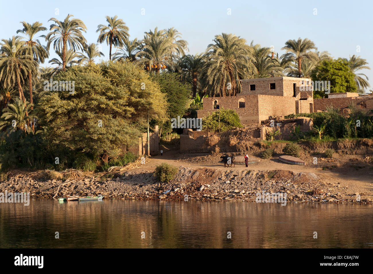 Mud bank hi-res stock photography and images - Alamy